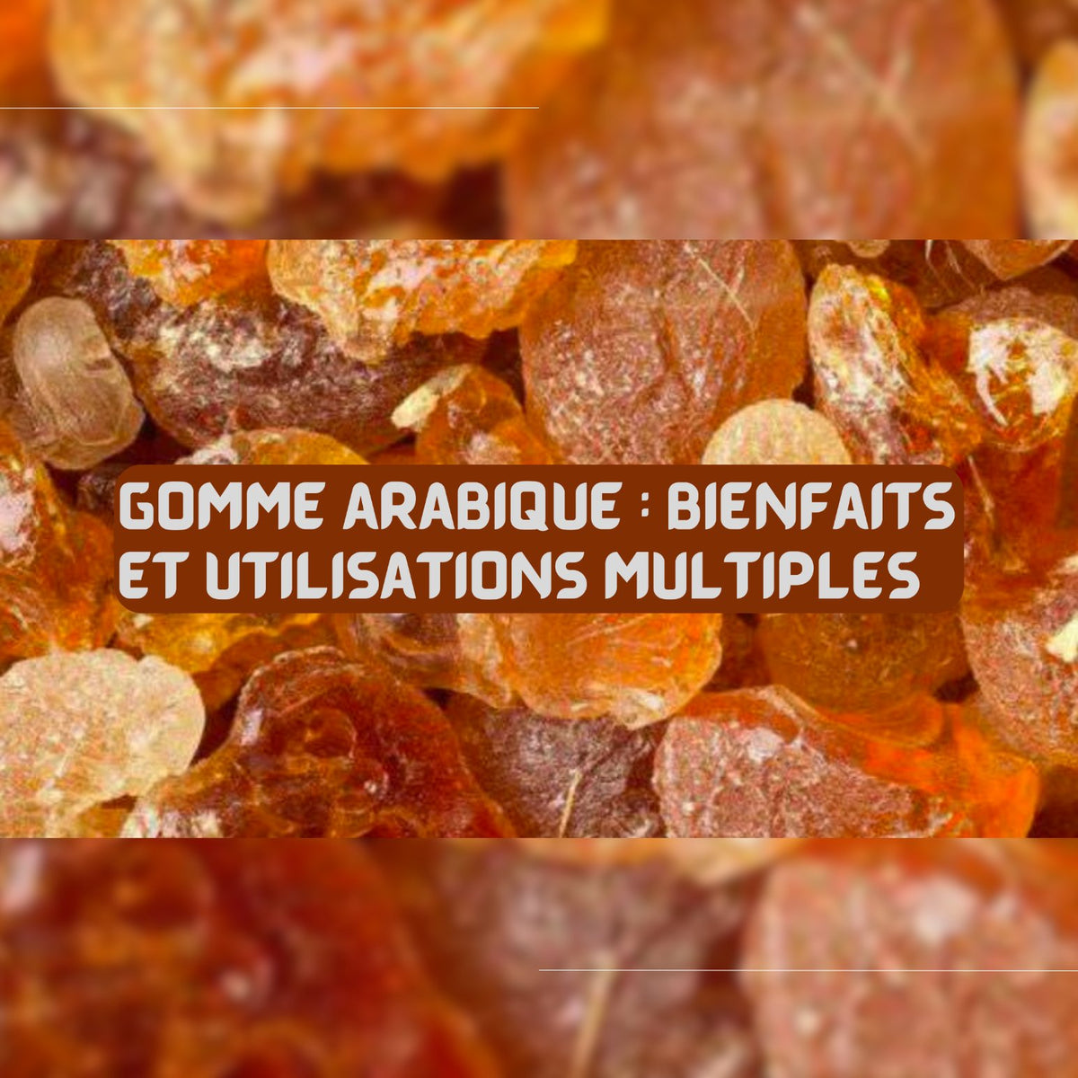 Gomme arabique : bienfaits et utilisations multiples — nilabeautys.com