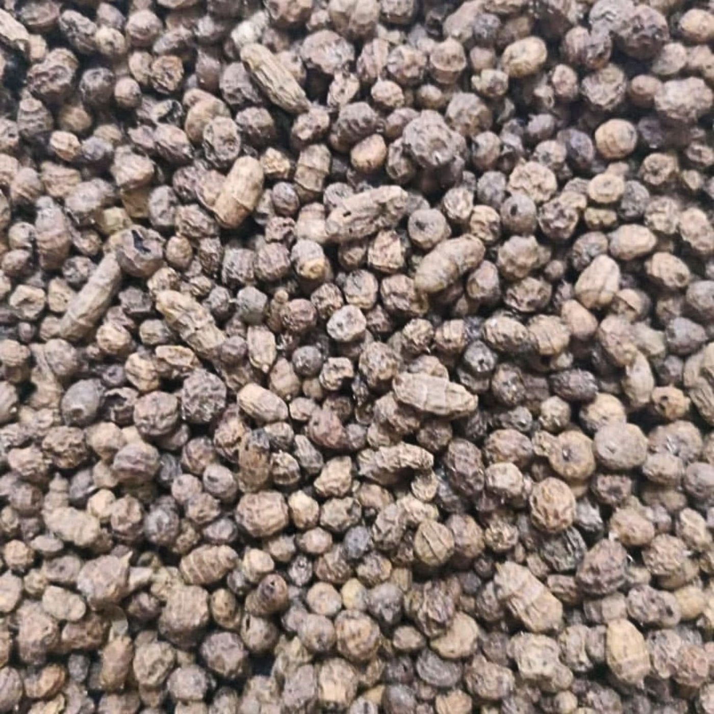 Habat el Aziz Souchet Tiger Nut | Graines gourmandes Orsata ...