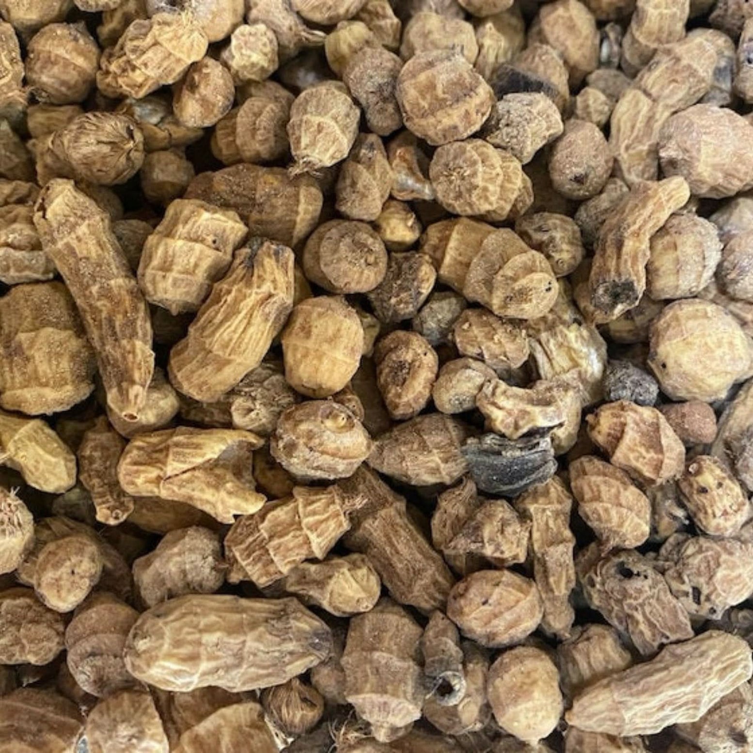 Habat el Aziz Souchet Tiger Nut | Graines précieuses Orsata ...