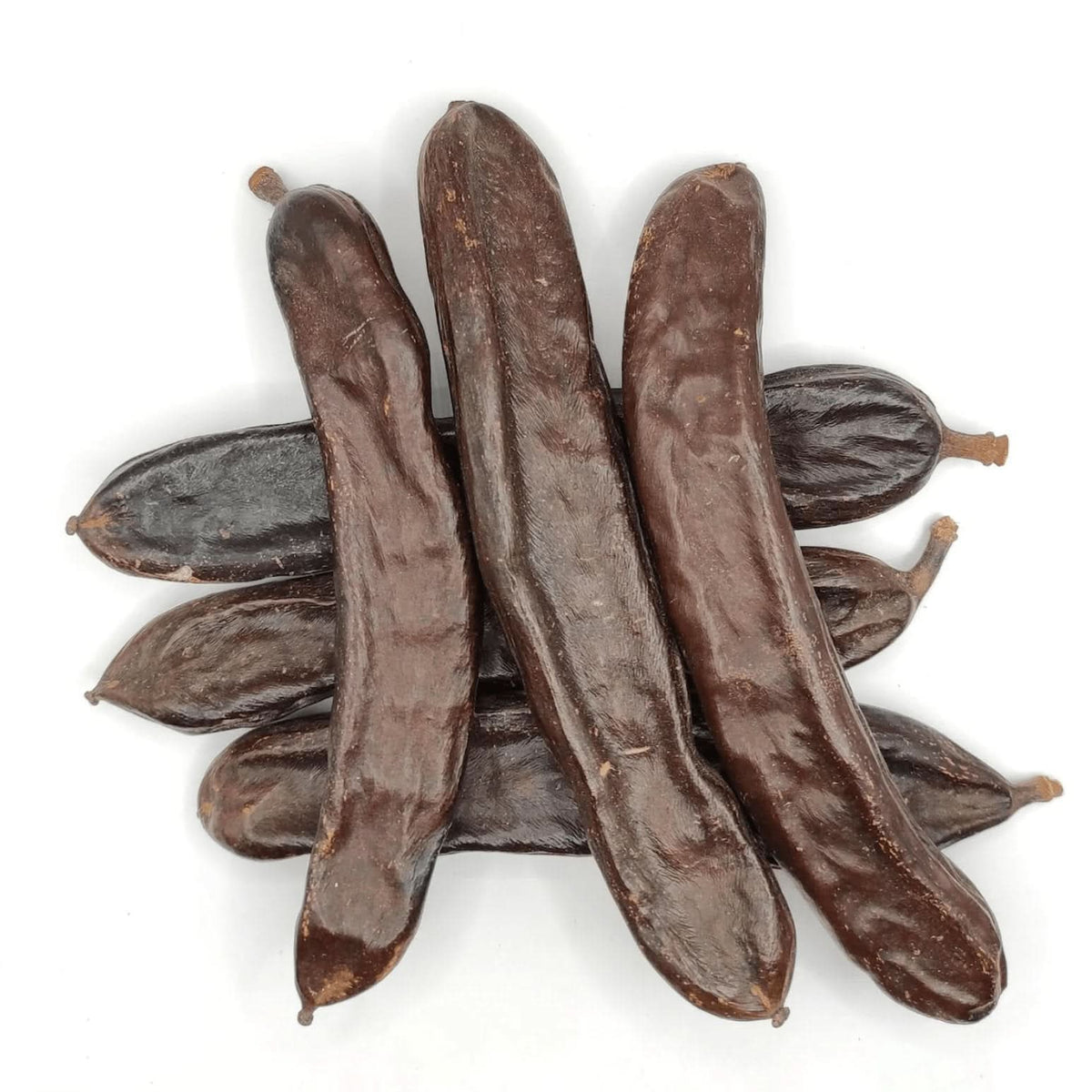 Kharoub, caroubier, caroube, Carob, 25g et 50g et 100g - خروب ...