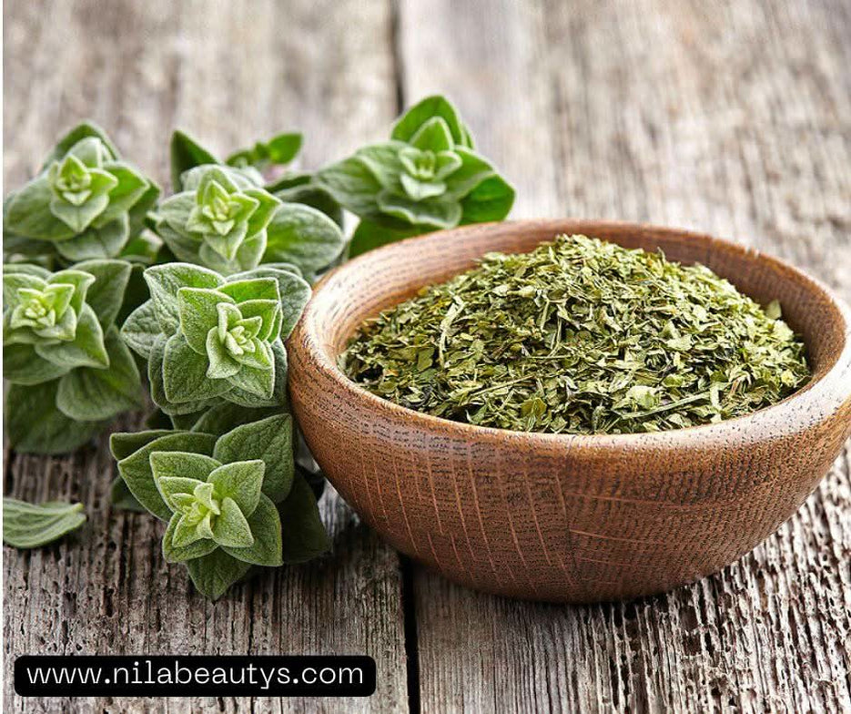 Origan du Maroc (Zaâtar) | Aromate Naturel pour une Cuisine Parfumée ...